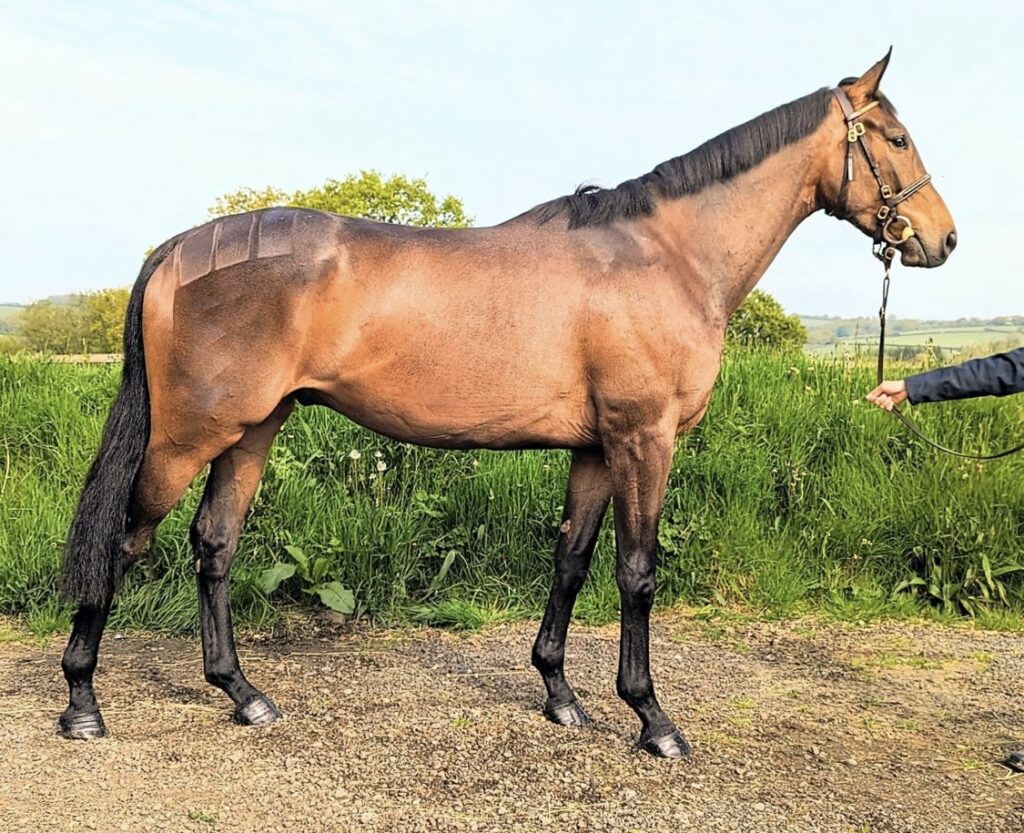 For Sale – Ben Clarke Racing