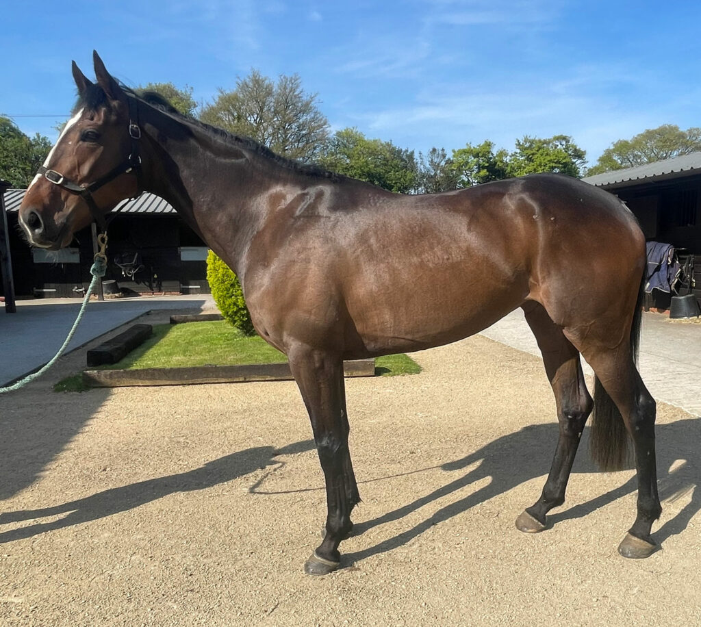 For Sale – Ben Clarke Racing