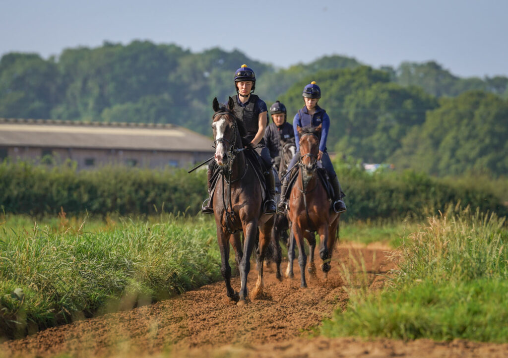 Ready or not! – Ben Clarke Racing