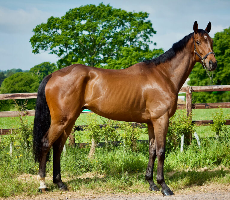 For Sale – Ben Clarke Racing