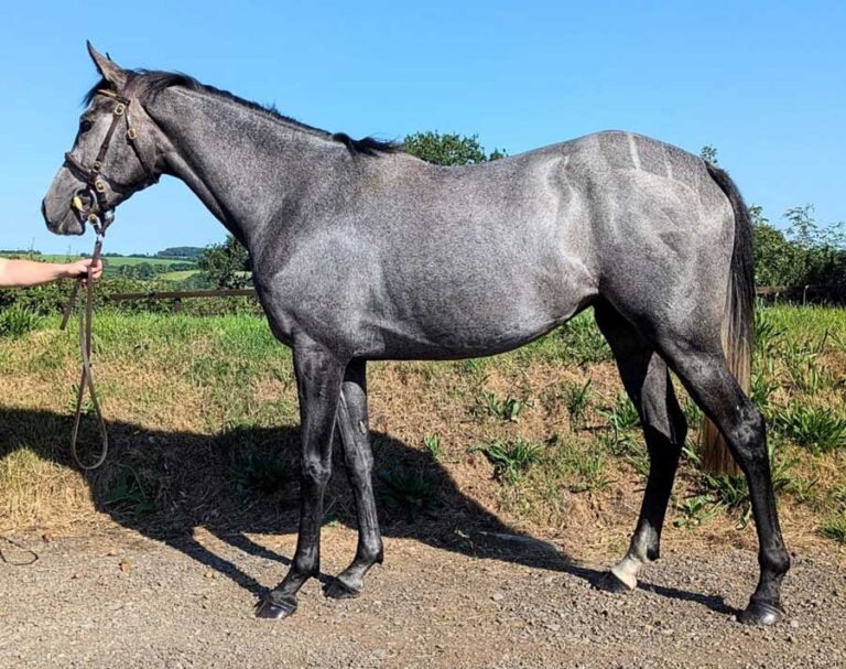 For Sale – Ben Clarke Racing